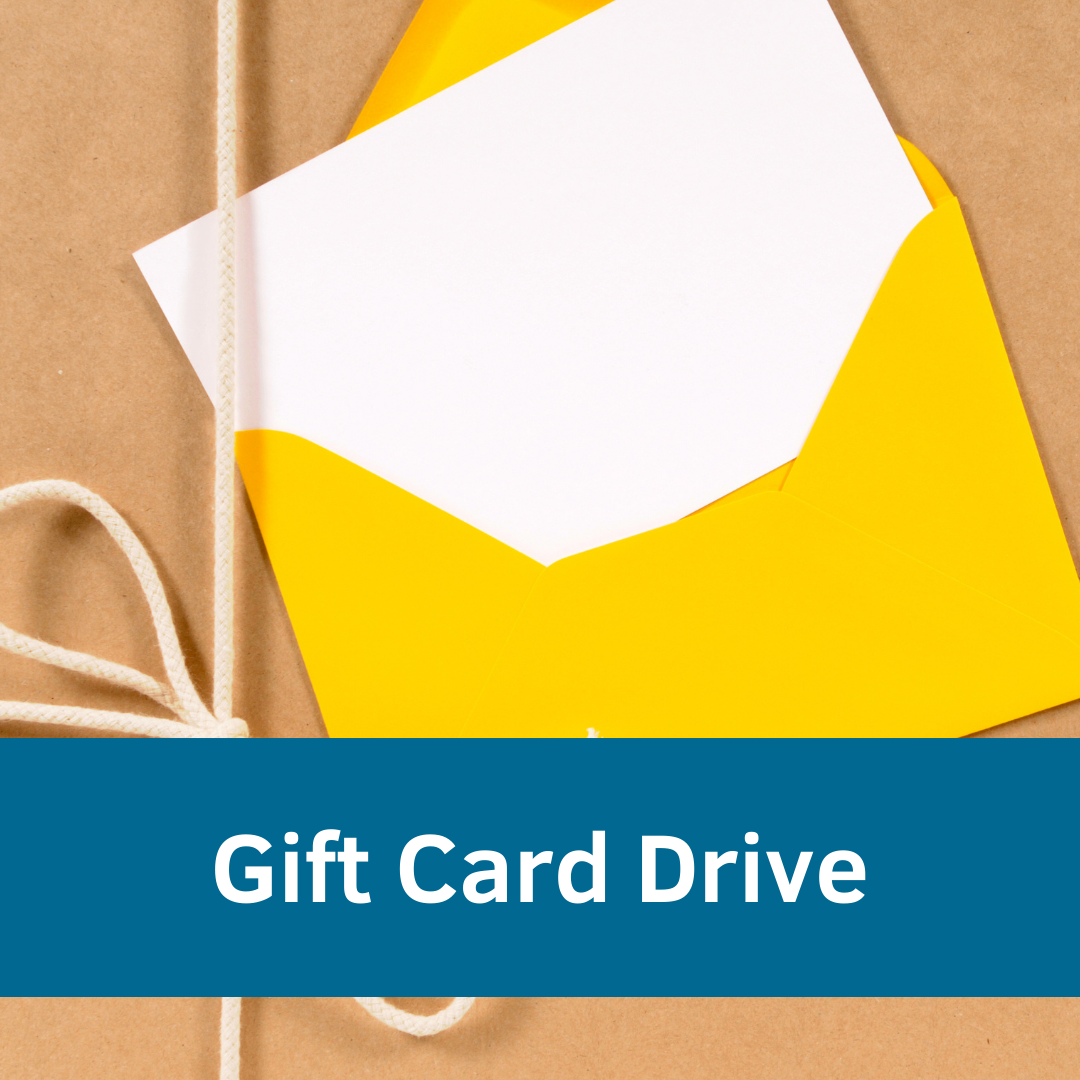 drives – SAVE, Inc.